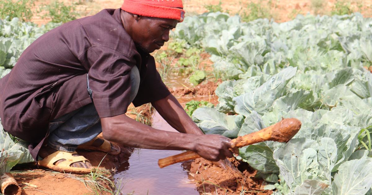 Améliorer la sécurité alimentaire des populations de la commune rurale ...